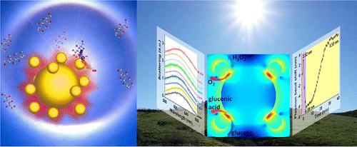 DNA-Directed Assembly of Gold Nanohalo for Quantitative Plasmonic ...