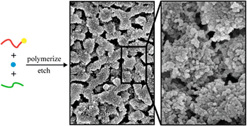 Hierarchically Porous Polymer Monoliths by Combining Controlled Macro ...