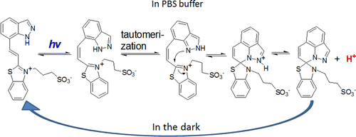 A Reversible Photoacid Functioning in PBS Buffer under Visible Light ...