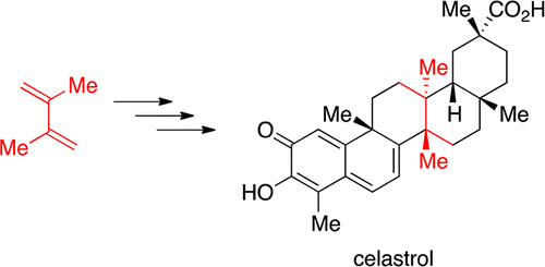 Total Synthesis of Celastrol, Development of a Platform to Access ...