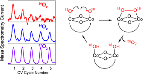 Probing Edge Site Reactivity of Oxidic Cobalt Water Oxidation Catalysts ...
