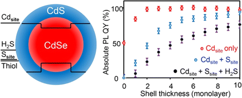 对抗 CdSe/CdS 核/壳纳米晶体上的表面陷阱：壳隔离与表面处理,Journal of the American Chemical ...