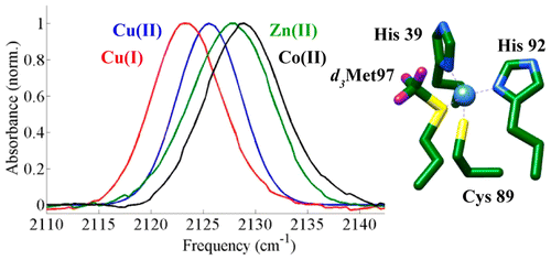 Methionine Ligand Interaction in a Blue Copper Protein Characterized by ...