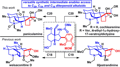 Syntheses of Denudatine Diterpenoid Alkaloids: Cochlearenine,N-Ethyl-1α ...