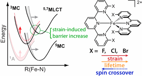用于控制铁 (II) 多吡啶中 MLCT 激发态寿命和自旋态的合成可调系统,Journal of the American Chemical ...
