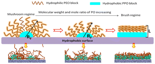 Mesoscopic Simulations of Adsorption and Association of PEO-PPO-PEO ...