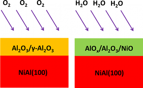 Comparative Study of the Oxidation of NiAl(100) by Molecular Oxygen and ...