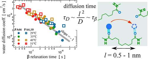 Investigation of Water Diffusion Mechanisms in Relation to Polymer ...