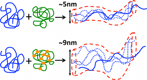 Single Chain Dynamic Structure Factor of Linear Polymers in an All ...