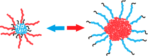 UCST-LCST亲水三元嵌段共聚物,Macromolecules - X-MOL