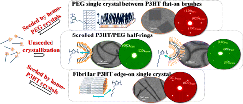 Scrolled/Flat Crystalline Structures of Poly(3-hexylthiophene) and Poly ...