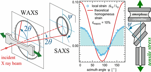 在预应变范围内，本体聚酰胺6的拉伸变形。通过原位SAXS和WAXS的微宏应变关系,Macromolecules - X-MOL