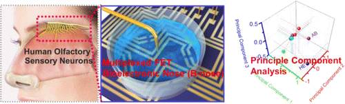 An Ultrasensitive, Selective, Multiplexed Superbioelectronic Nose That ...