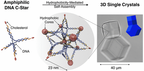 Crystallization of Amphiphilic DNA C-Stars,Nano Letters - X-MOL