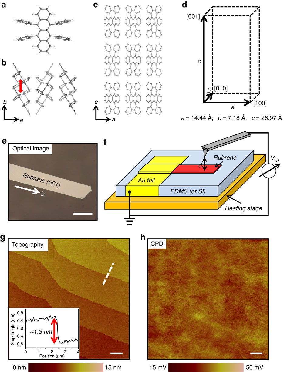 Strain effects on the work function of an organic semiconductor.,Nature ...