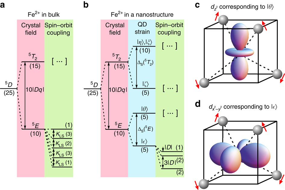 Magnetic ground state of an individual Fe(2+) ion in strained semiconductor nanostructure ...