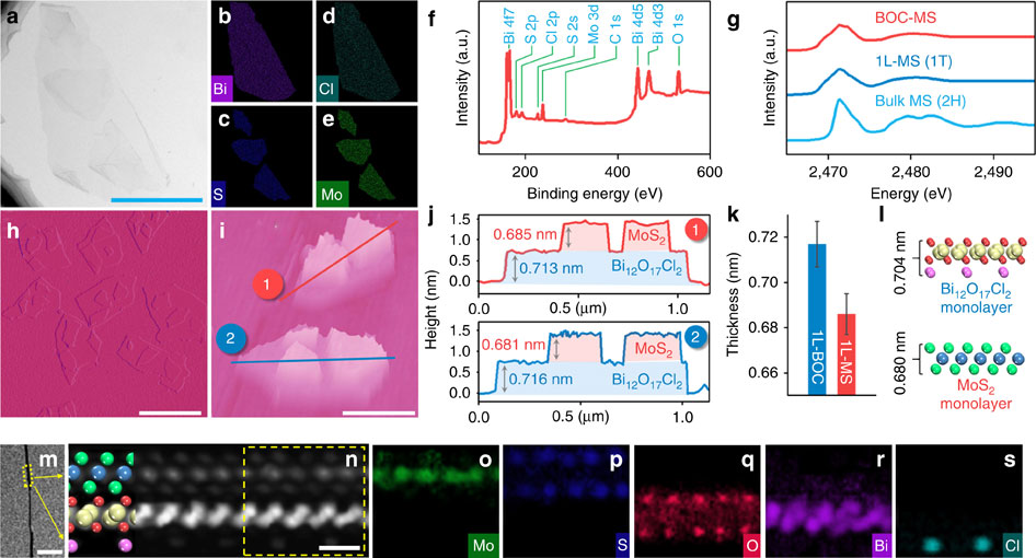Superior visible light hydrogen evolution of Janus bilayer junctions ...