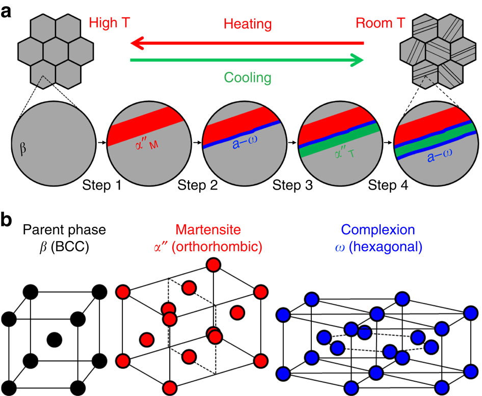 Complexion-mediated martensitic phase transformation in Titanium ...
