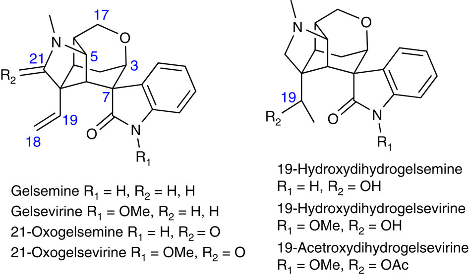 Total synthesis of (+)-gelsemine via an organocatalytic Diels-Alder ...