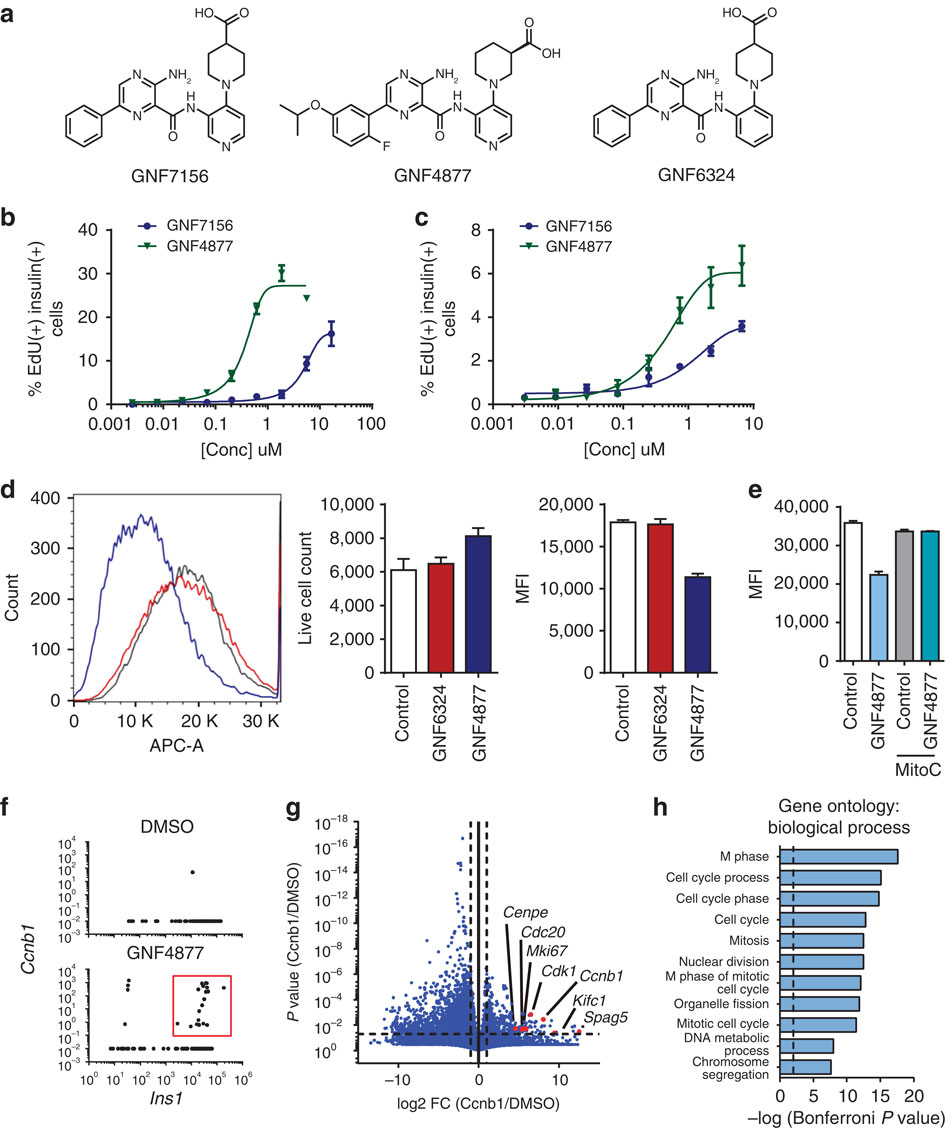 DYRK1A 和 GSK3B 的抑制可诱导人 β 细胞增殖。,Nature Communications - X-MOL