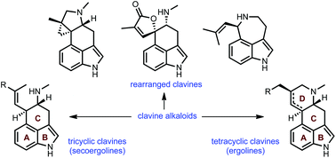 Total synthesis, biosynthesis and biological profiles of clavine ...
