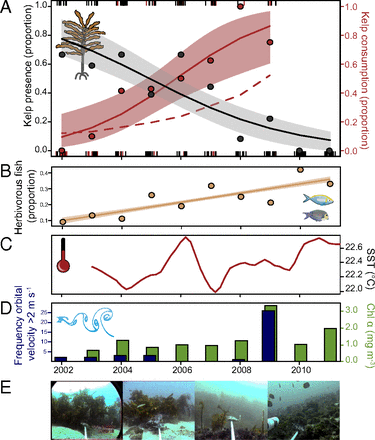 Long-term empirical evidence of ocean warming leading to ...