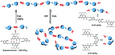 Photo-responsive supramolecular polymers synthesized by olefin ...