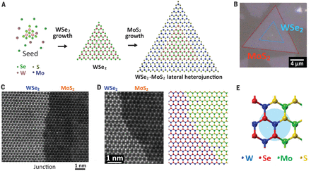 Epitaxial growth of a monolayer WSe2-MoS2 lateral p-n junction with an atomically sharp ...