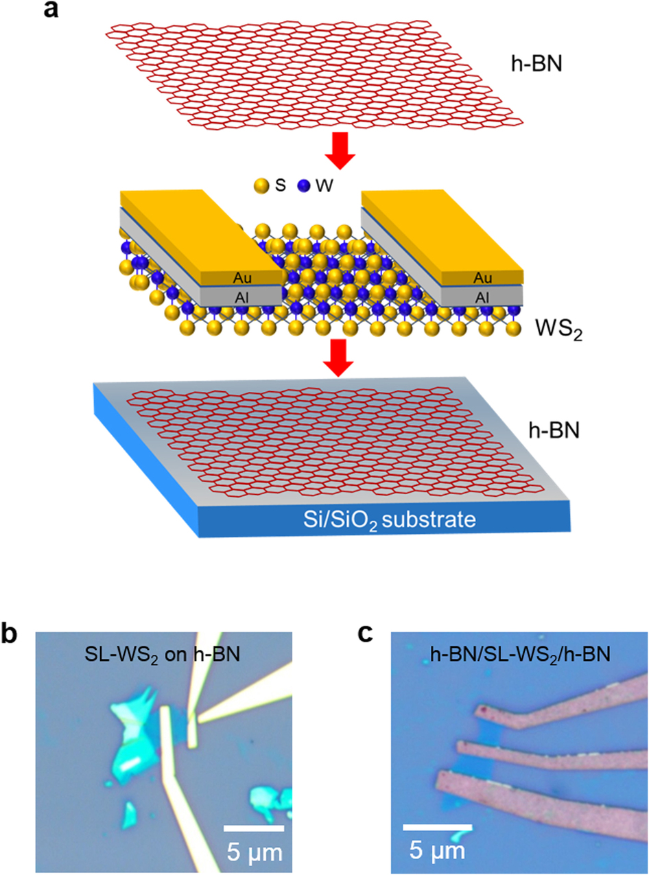 High-mobility and air-stable single-layer WS2 field-effect transistors ...