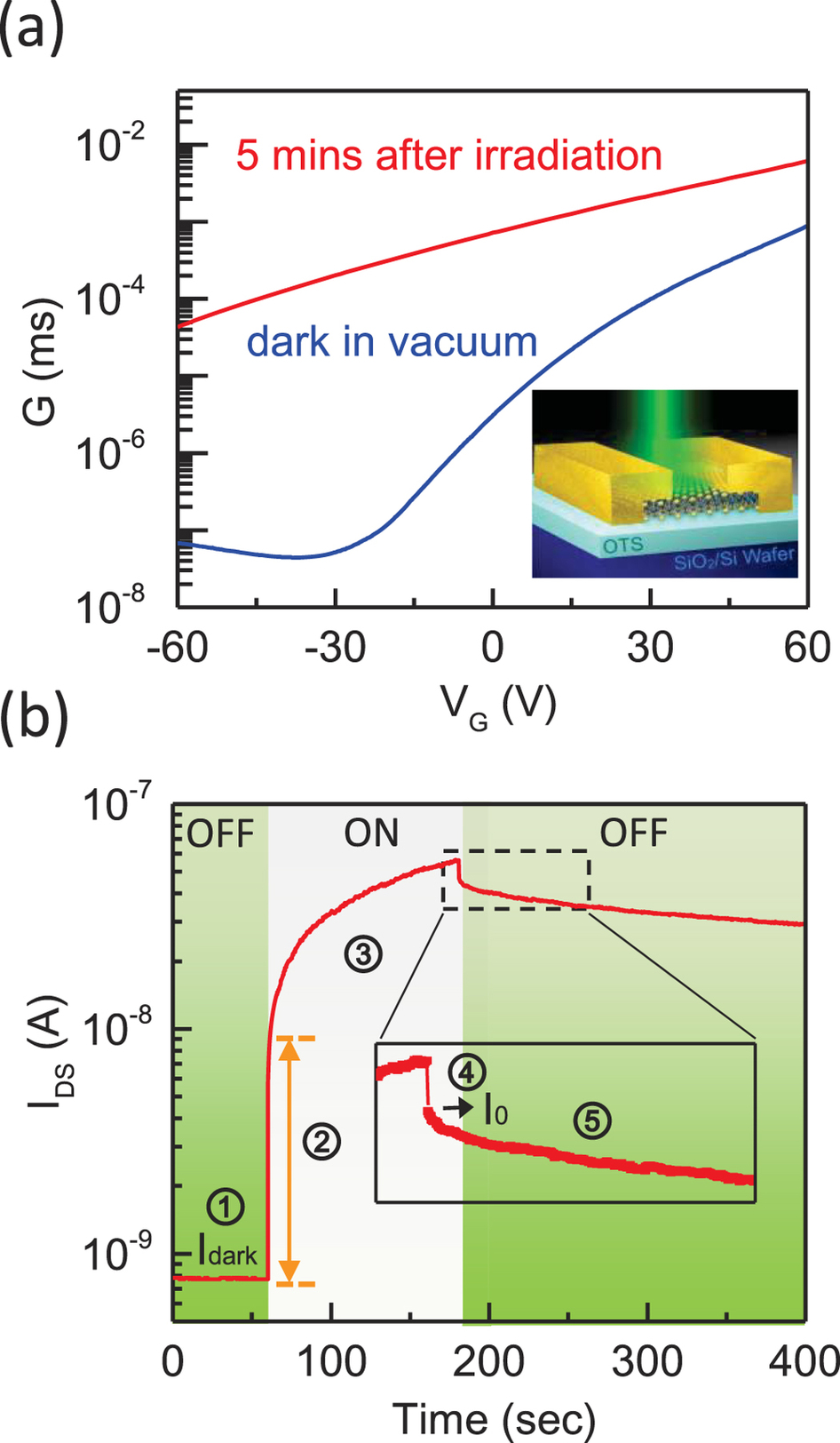 Conclusion Of Field Effect Transistor at Jose Mccoy blog