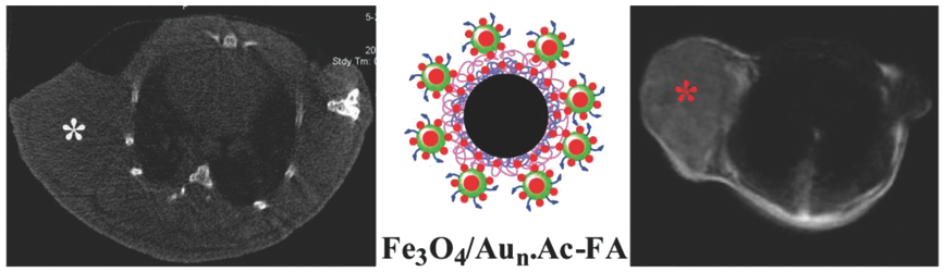 Dendrimer‐Assisted Formation of Fe3O4/Au Nanocomposite Particles for ...
