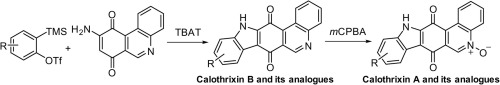 Total synthesis of calothrixins and their analogues via formal [3+2 ...