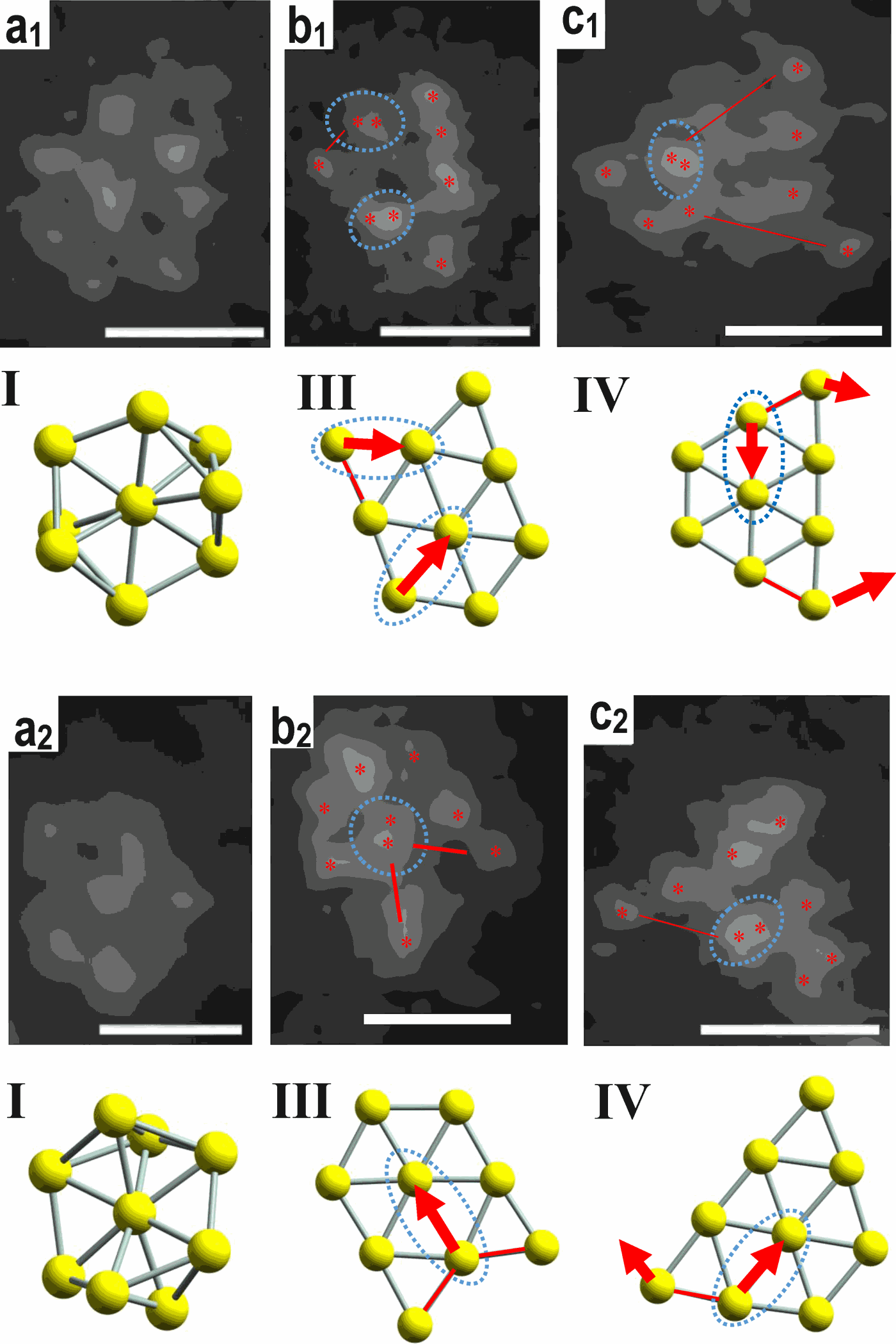 Atomically resolved structure of ligand-protected Au9 clusters on TiO2 nanosheets using ...