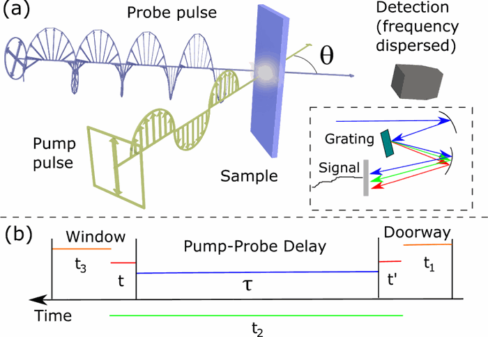 Coherence specific signal detection via chiral pump-probe spectroscopy ...