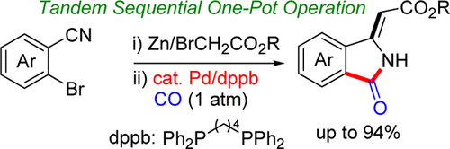 Pd-Catalyzed Aminocarbonylation of the Blaise Reaction Intermediate ...