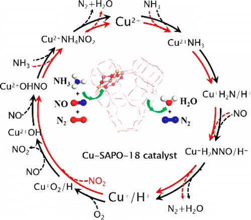 Nature of Cu Species in Cu–SAPO-18 Catalyst for NH3–SCR: Combination of ...