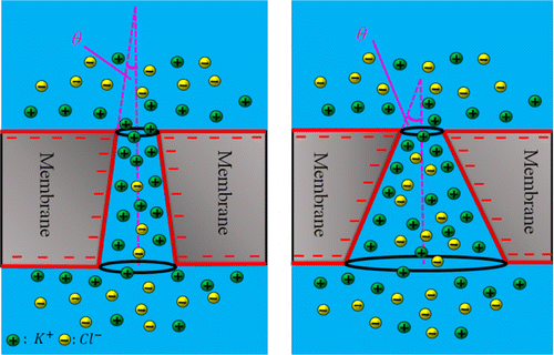 Influences of Cone Angle and Surface Charge Density on the Ion Current ...