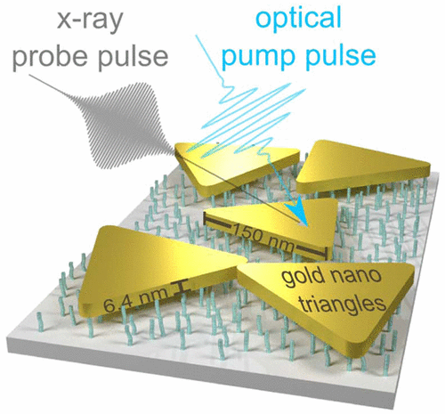 Watching the Vibration and Cooling of Ultrathin Gold Nanotriangles by ...