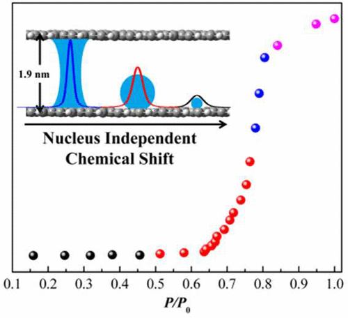 Nucleation and Growth Process of Water Adsorption in Micropores of ...