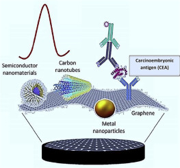 用于癌胚抗原（CEA）免疫传感的纳米材料：最新进展,Trends in Analytical Chemistry - X-MOL