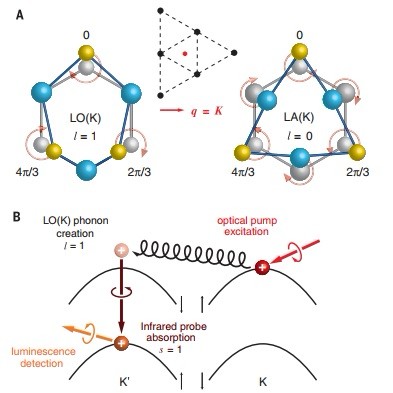 Observation of chiral phonons,Science - X-MOL