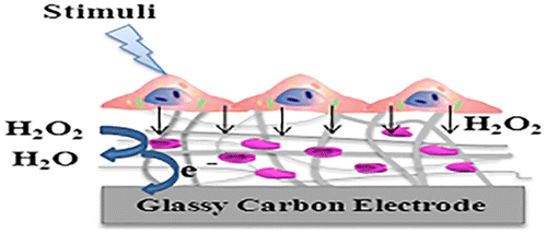 Self-Assembled Peptide Hydrogel as a Smart Biointerface for Enzyme ...