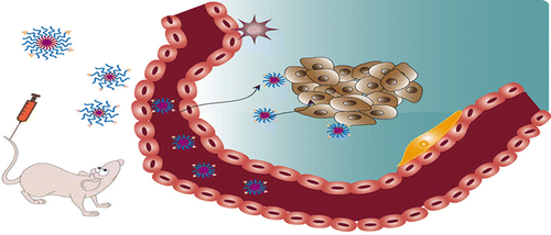 T7 Peptide-Functionalized PEG-PLGA Micelles Loaded with Carmustine for ...