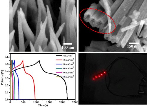Construction of a Hierarchical NiCo2S4@PPy Core–Shell Heterostructure Nanotube Array on Ni Foam ...