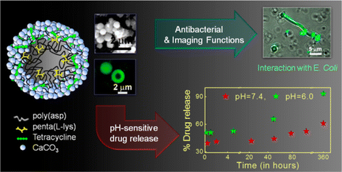 In Situ Strategy to Encapsulate Antibiotics in a Bioinspired CaCO3 ...
