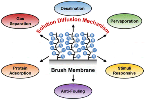 Polymer Brushes for Membrane Separations: A Review,ACS Applied ...