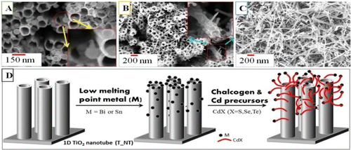 Engineered Solution–Liquid–Solid Growth of a “Treelike” 1D/1D TiO2 ...