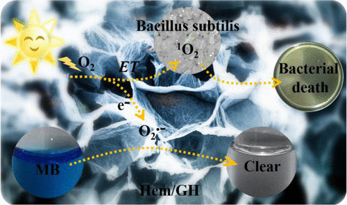 Construction of Three-Dimensional Hemin-Functionalized Graphene ...