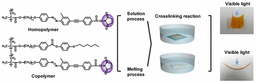 Visible Light Responsive Liquid Crystal Polymers Containing Reactive Moieties with Good ...
