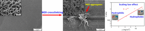 Cellulose Nanofibril Aerogels: Synergistic Improvement of ...